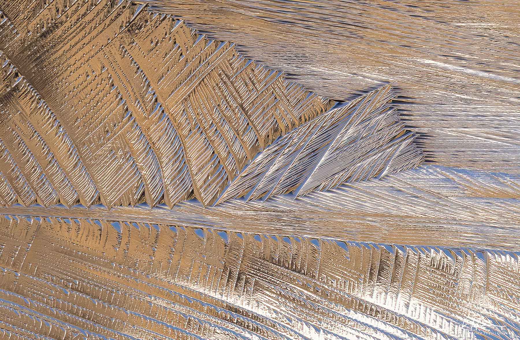 Feathered Ice | Eastern Sierra Nevada, California | Robb Hirsch Photography