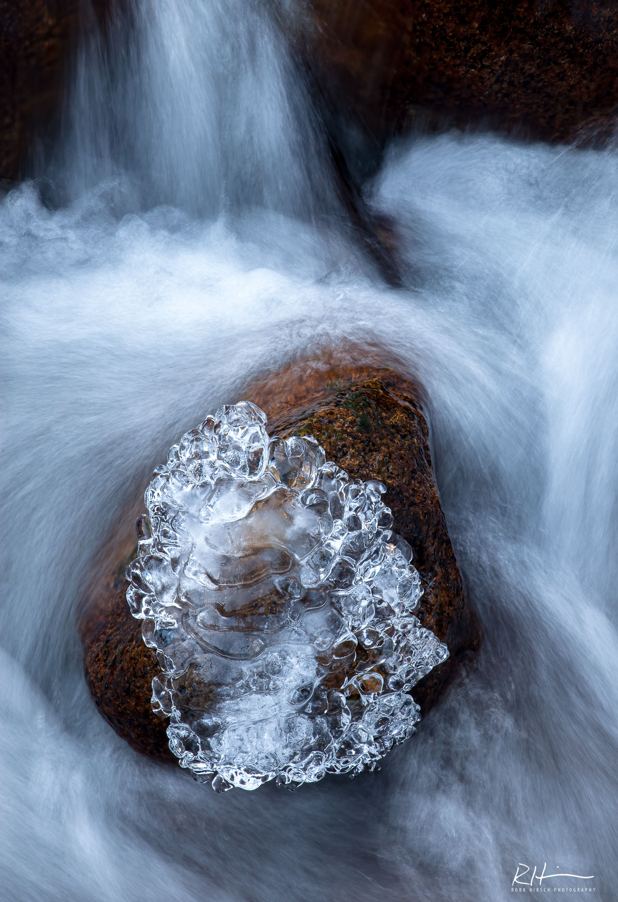 Ice Jewel | Yosemite National Park, CA | Robb Hirsch Photography