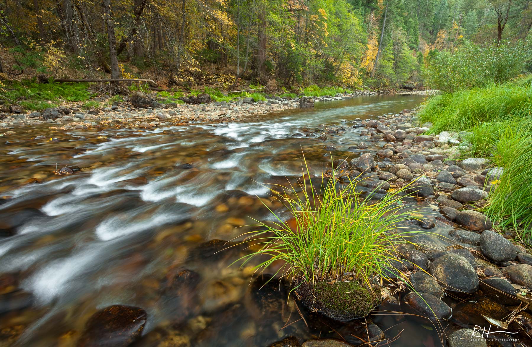 River View | Yosemite National Park, California | Robb Hirsch Photography
