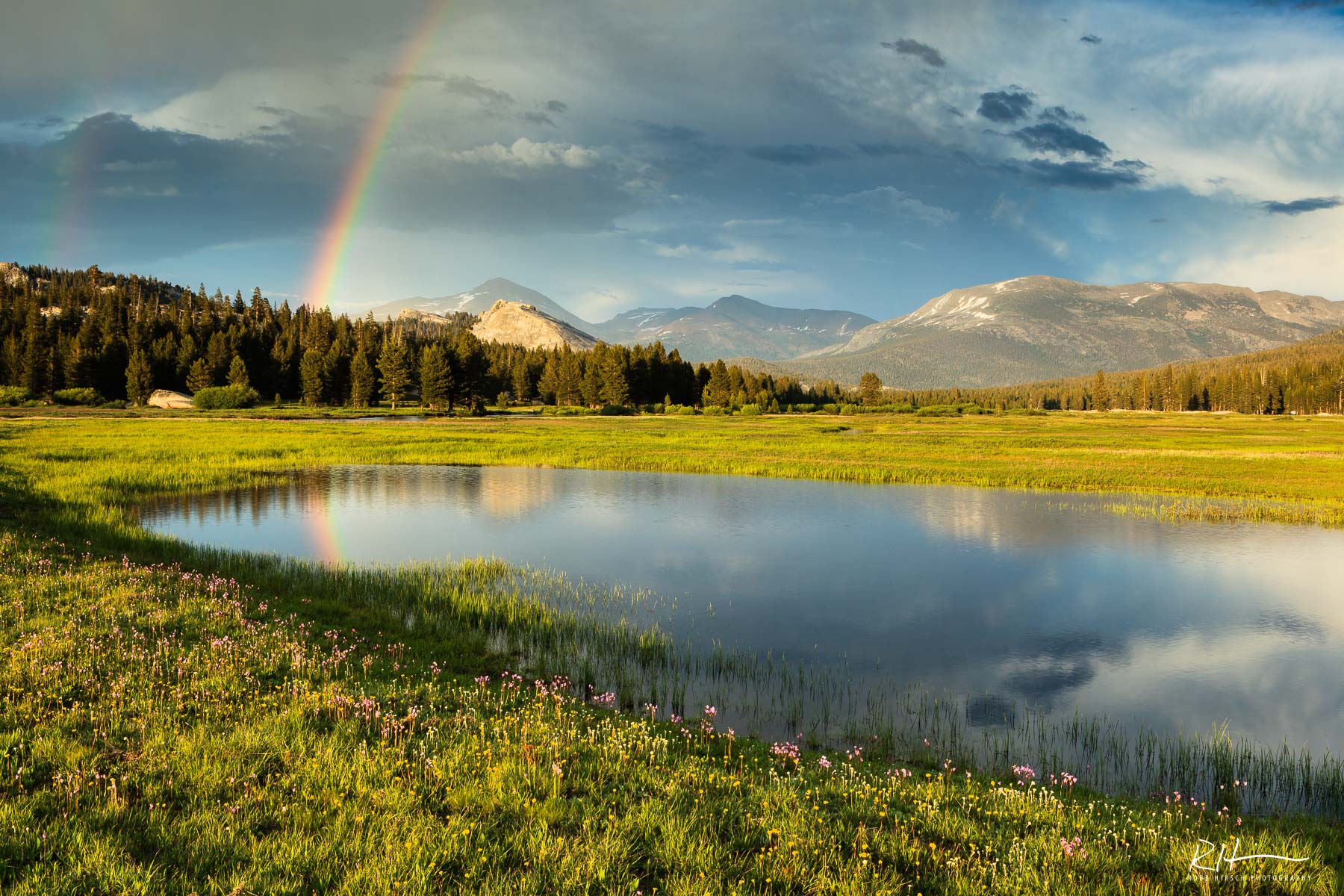 Summer | Robb Hirsch Photography